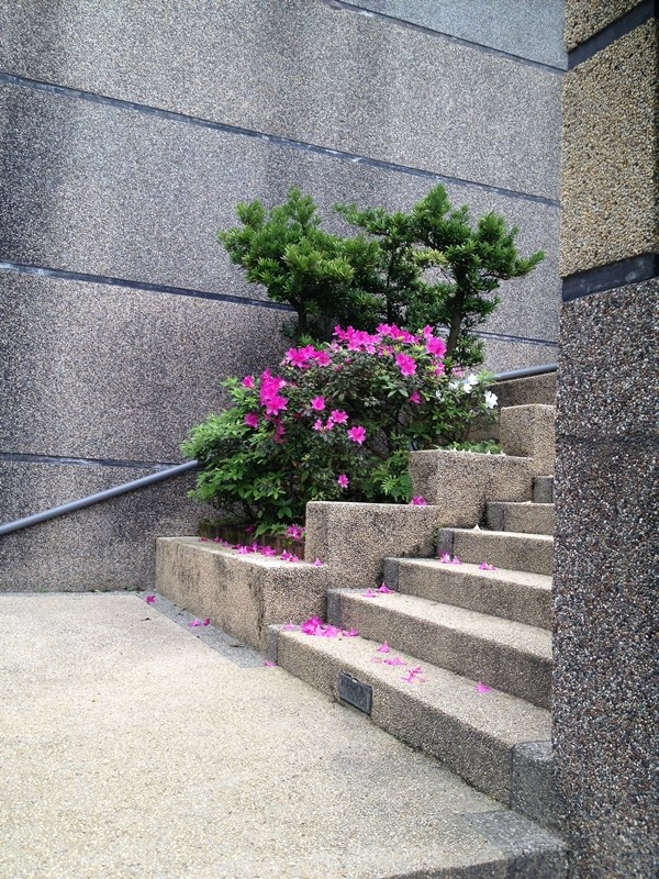 Sanzhi,Taiwan: Taiwan's Beautiful North Coast City District